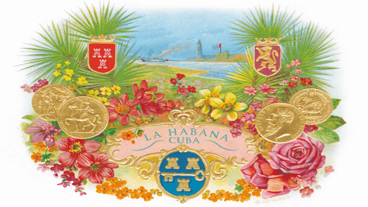 Descubre la historia del ron