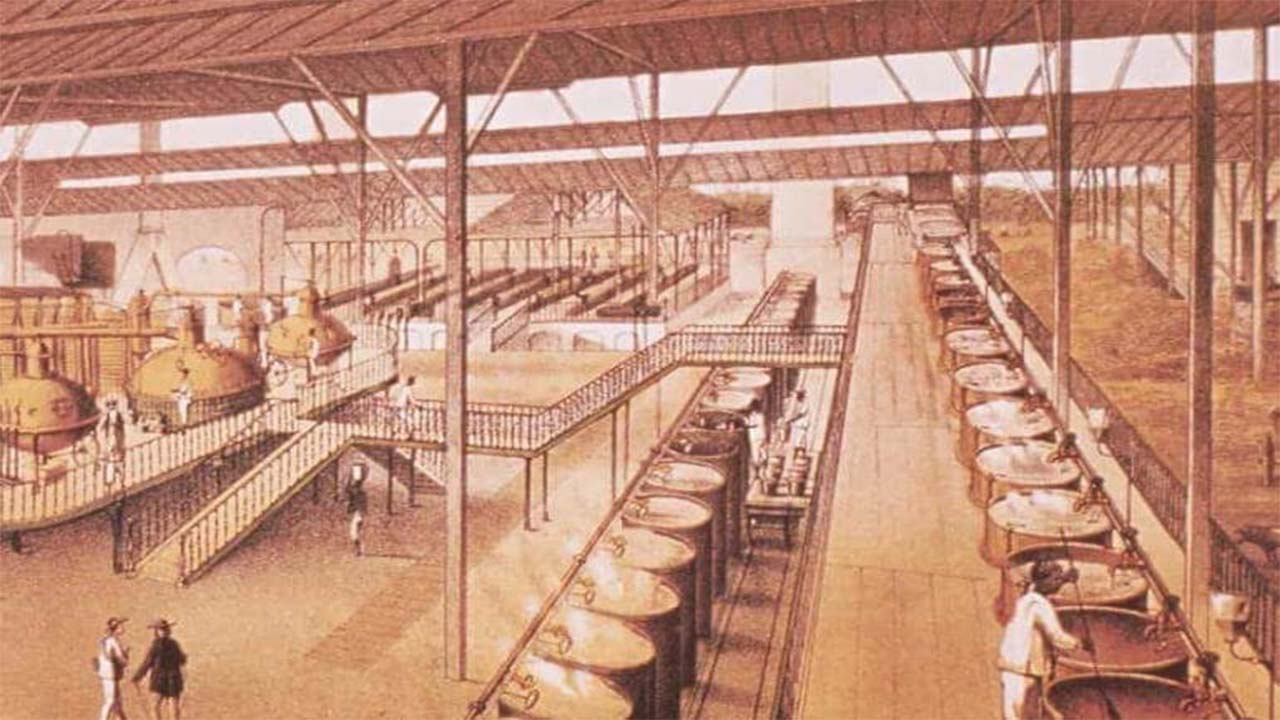 Descubre la historia del ron